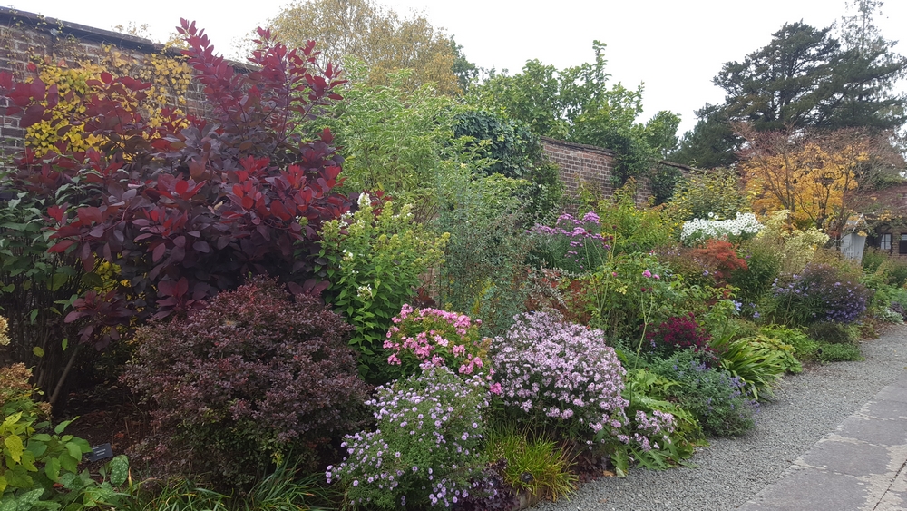 Walled garden, showing wall behind | Hardy Plant Society