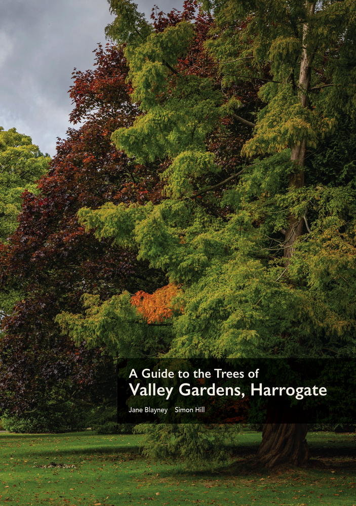 A Guide to the Trees of Valley Gardens, Harrogate | Hardy Plant Society