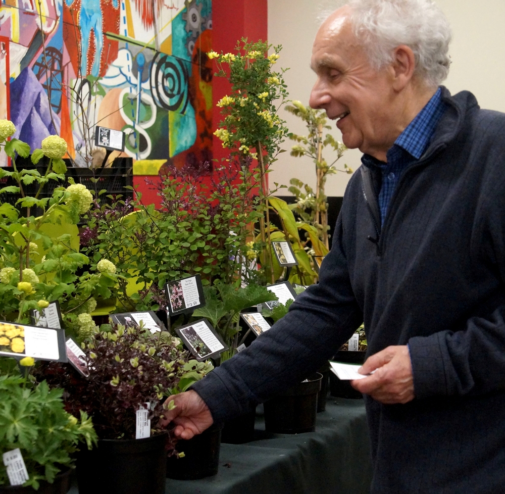 Magic of Plants ’23 – in Pictures | Hardy Plant Society